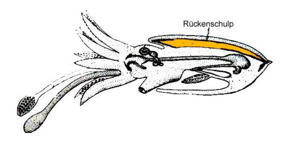 Ossa-Sepia-Guss, eine Guss-Technik mit verlorener Form
